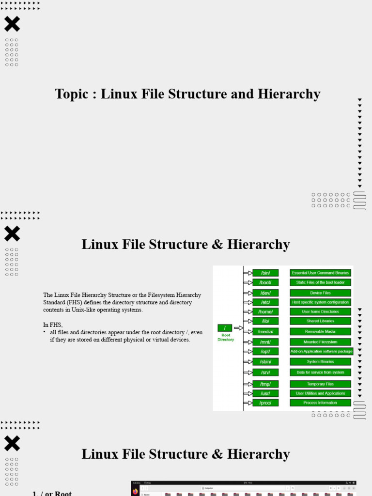 Lab5linuxfilestructureandhierarchy 240410055946 5db093a8 | PDF | Computer File | File System
