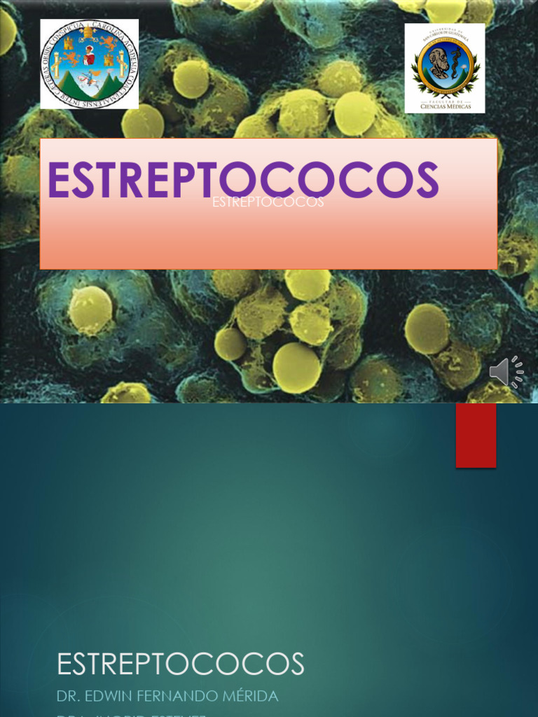 Estreptococos | PDF | Estreptococo | Medicina CLINICA