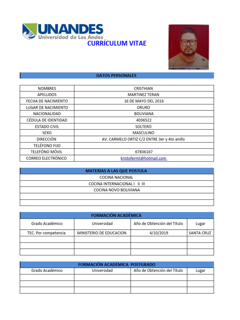 Formato CV Docente | PDF