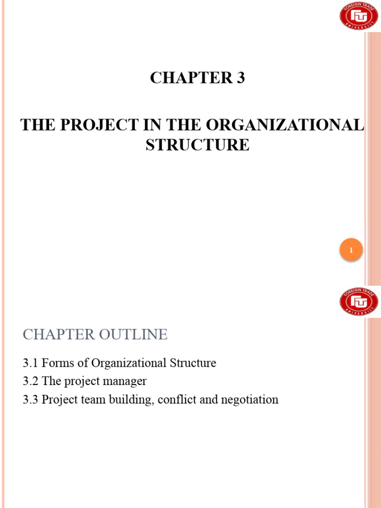 Chapter 3 - The Project in Organizational Structure | PDF | Leadership ...