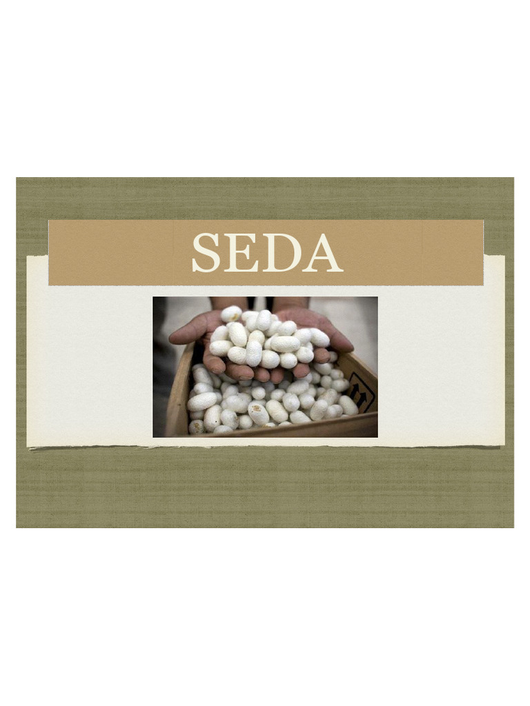 Seda PP | PDF