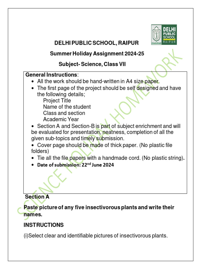 7th Summer Holiday H.W 2024-25 | PDF