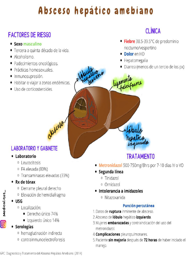 Absceso hepatico | PDF