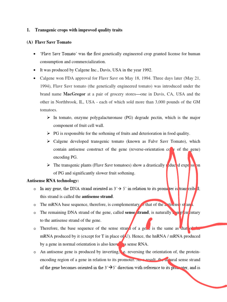 1. Flavr Savr Tomato Copy | Download Free PDF | Sense (Molecular ...