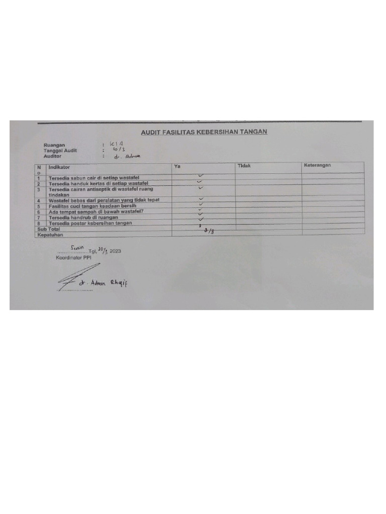 5.5.2.a Audit Program PPI | PDF