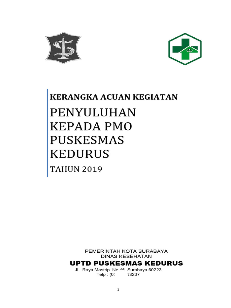 Kak Penyuluhan Kepada Pmo Fix | PDF