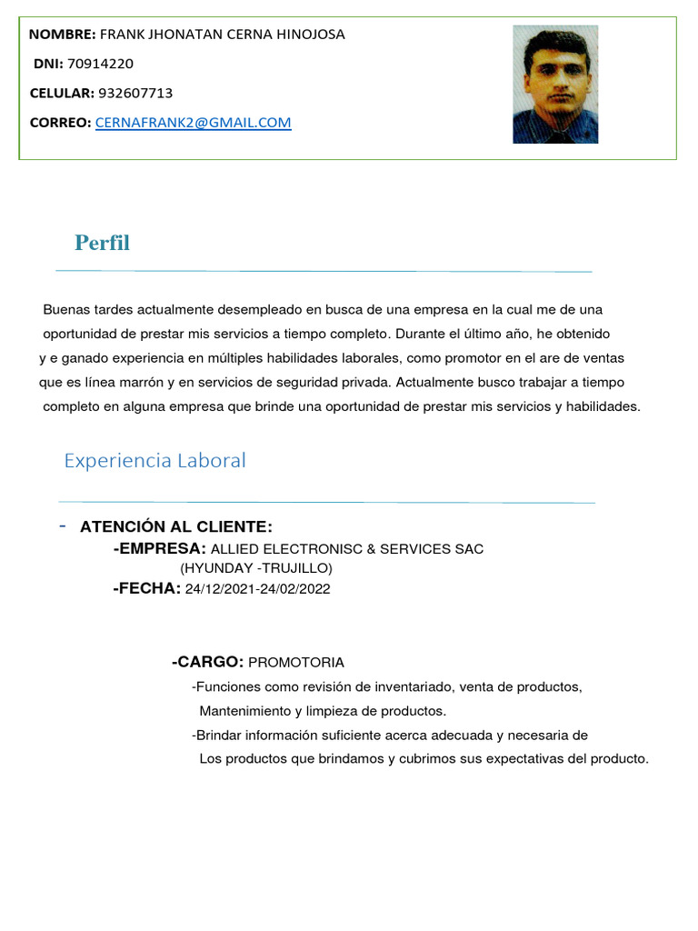 CV Frank Cerna | PDF | Negocios