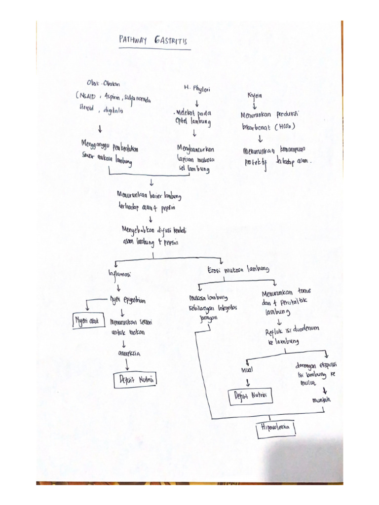 Pathway Gastritis | PDF