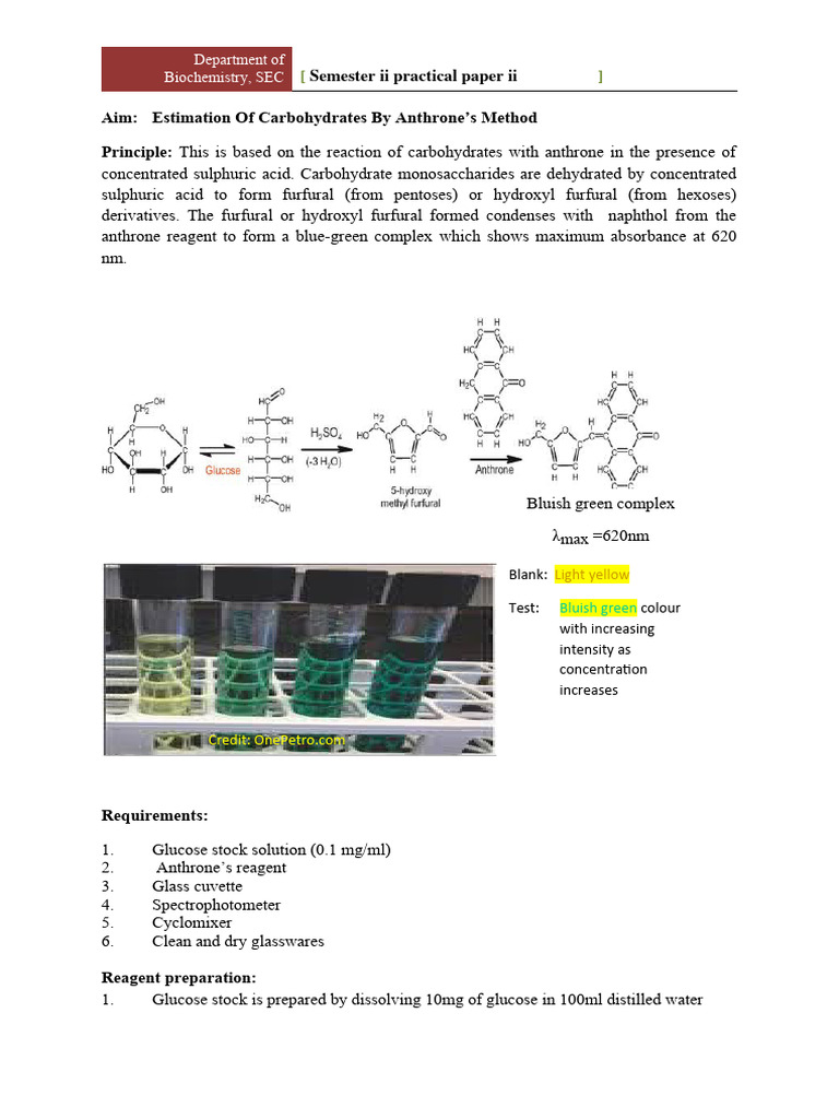 Carbohydrate Estimation via Anthrone Method | PDF | Glucose | Carbohydrates