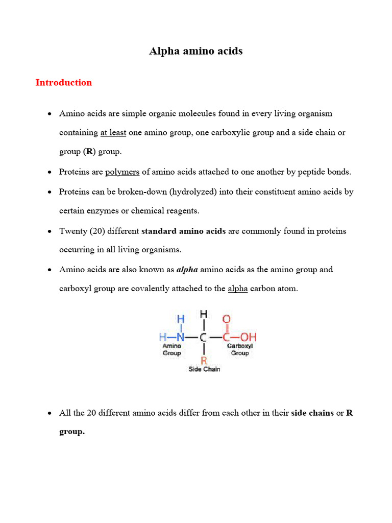 Alpha Amino Acids | PDF | Amino Acid | Biochemistry