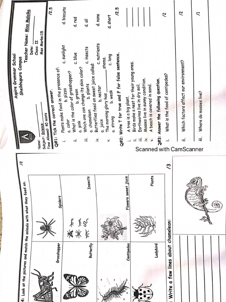 g2 Science Test | PDF