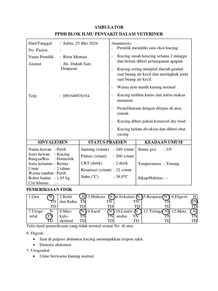 Ambulator Putih - Urolithiasis Dan Nefritis-1 | PDF | Kesehatan Holistik