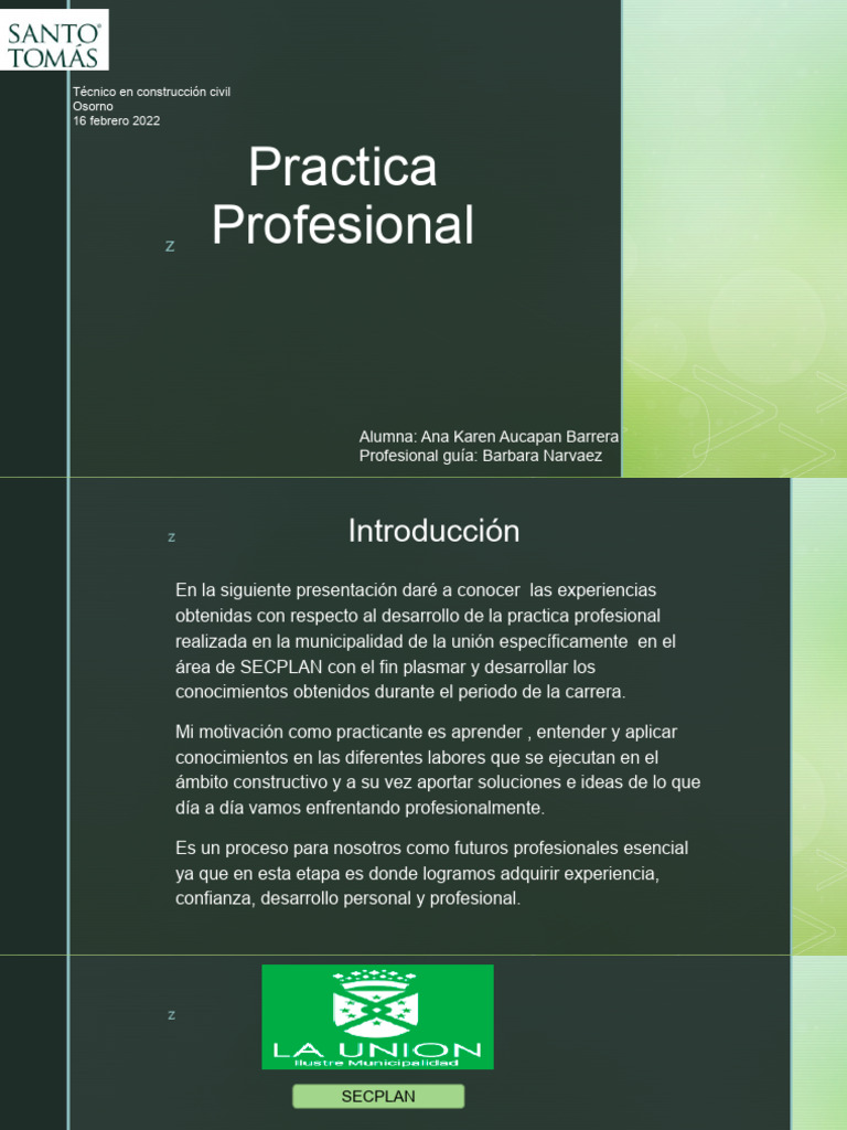 Presentacion Practica | PDF