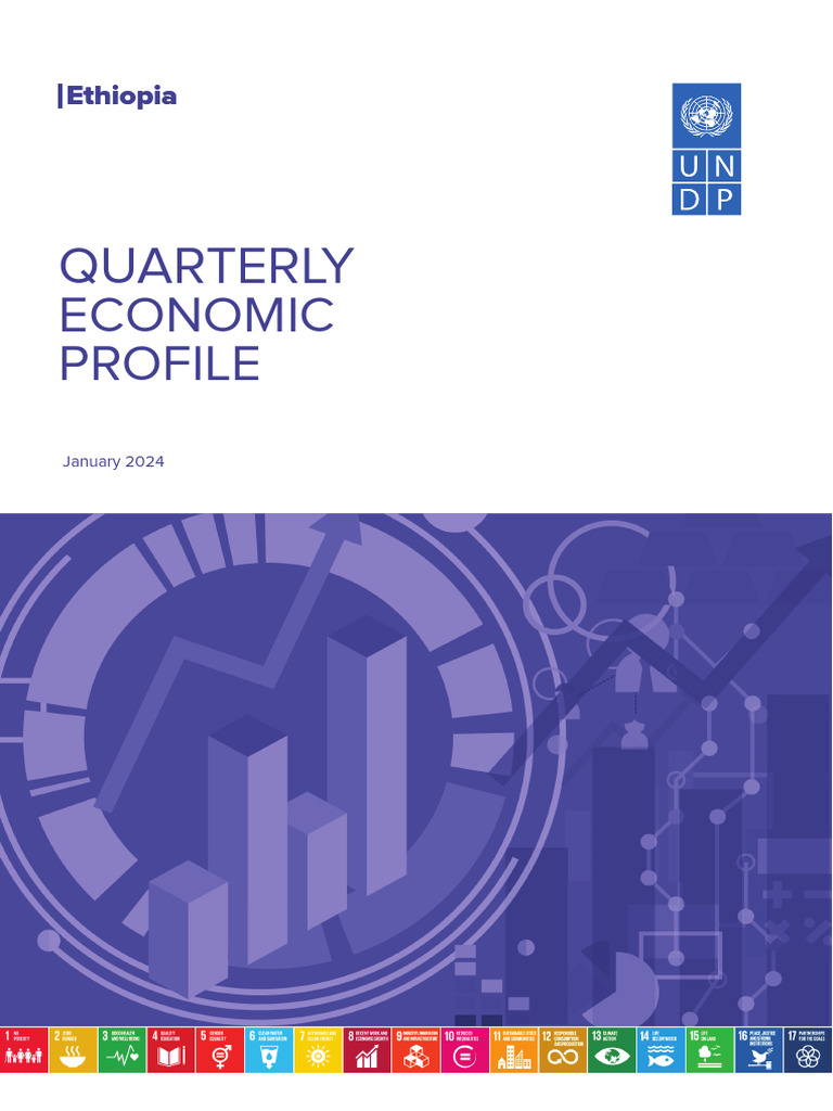 Undp Quarterly Economic Profile January 2024 | PDF | Inflation | Fiscal ...