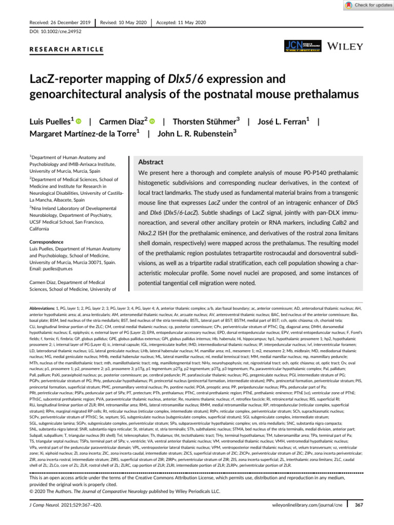 Dlx5/6 Expression in Mouse Prethalamus | PDF | Thalamus ...