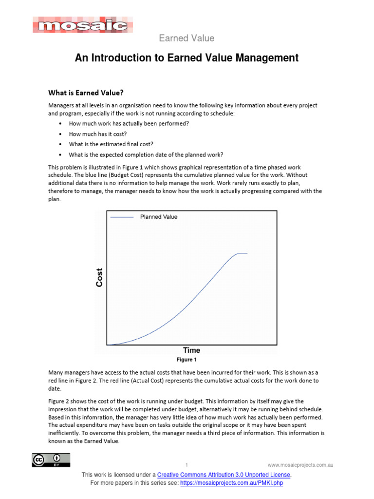N012 Earned Value Basics | PDF | Business | Computers