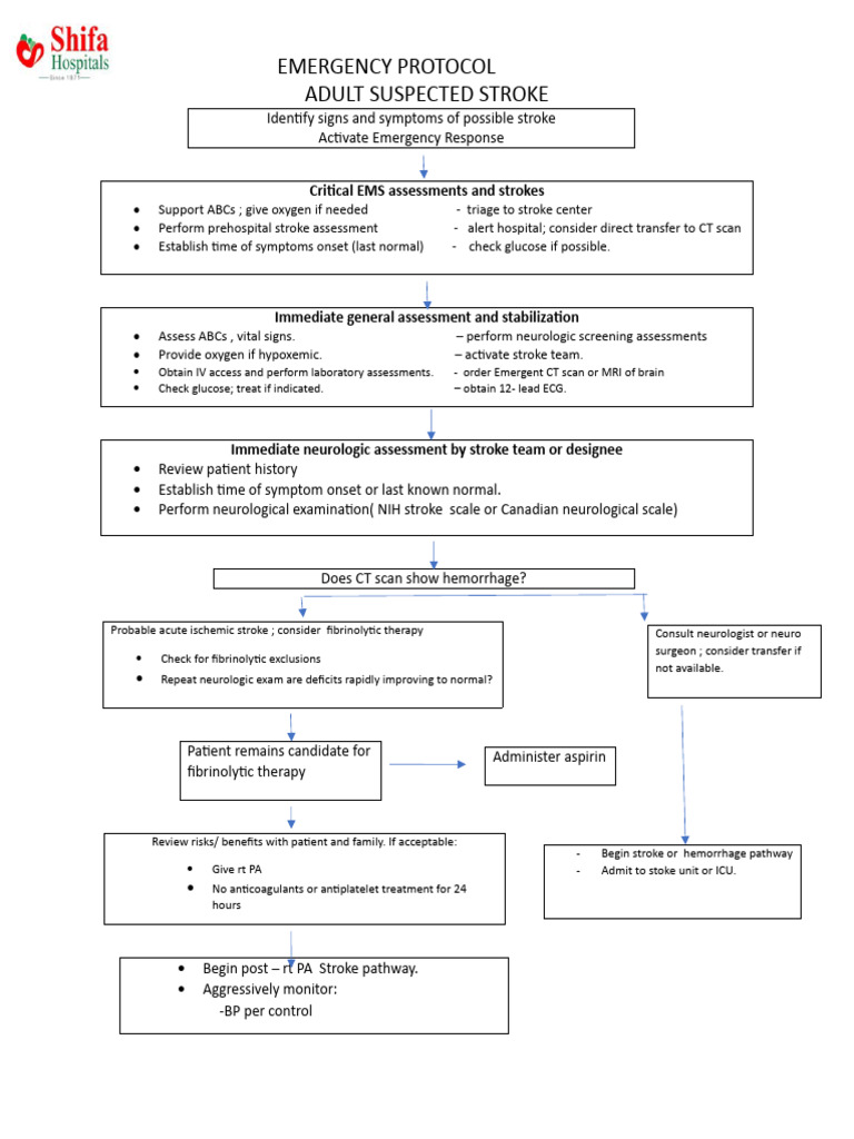 Adult Suspected Stroke | PDF | Stroke | Neurology