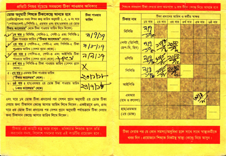 Tika Card Sample | PDF