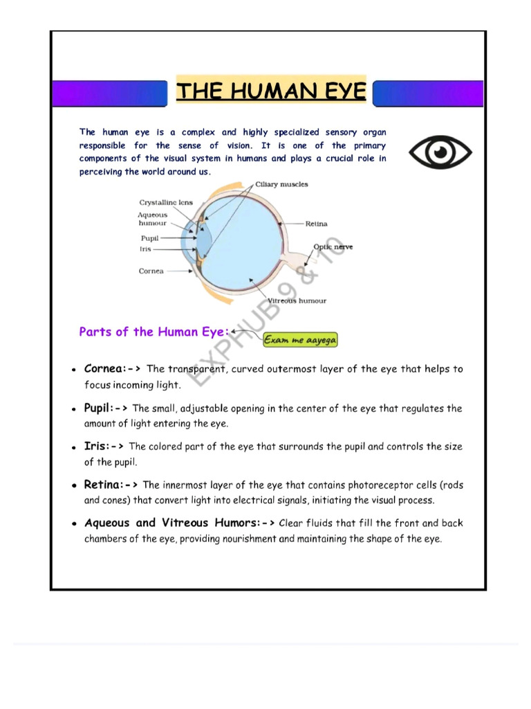 The Human Eye and The Colourful World | PDF
