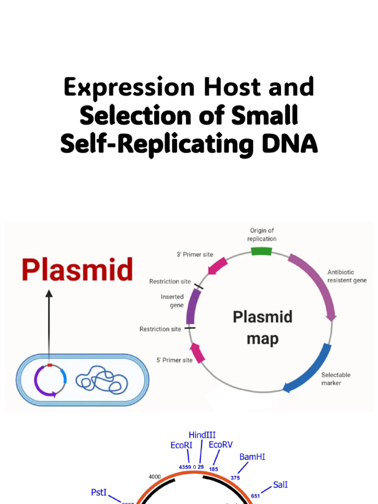 Expression Host and Selection - 040407 | PDF | Plasmid | Recombinant Dna