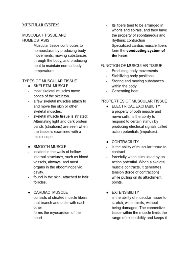 Anaphy (Lec) Transes | Download Free PDF | Central Nervous System ...
