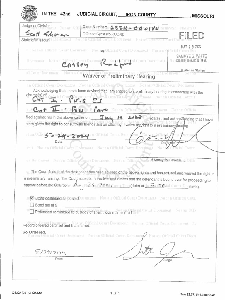 Waiver of Preliminary Hearing | PDF