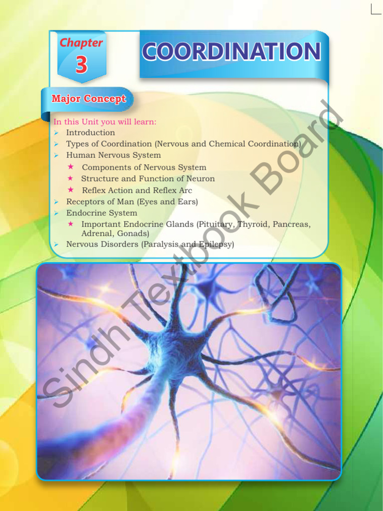 Chapter 3 Biology 10th Class SB Eng Medium | PDF | Pancreas | Ear
