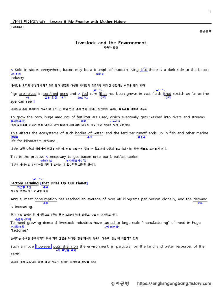 E1 VS L6 분석 | PDF