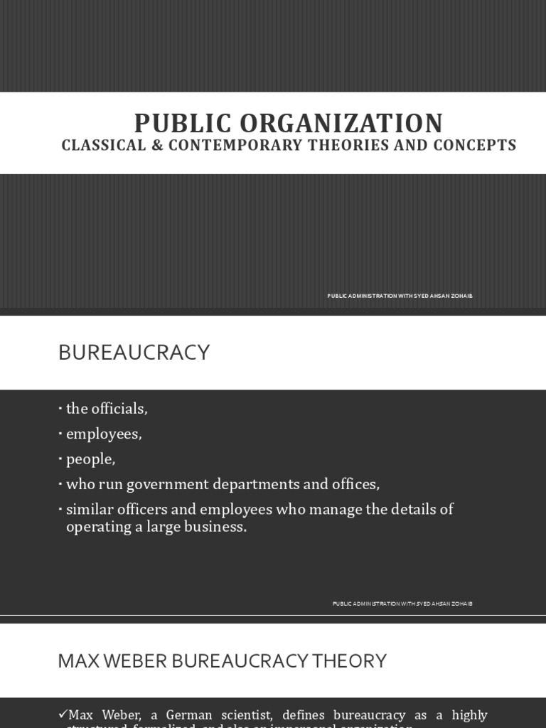 Public Organization (c) | PDF | Bureaucracy | Organizational Structure