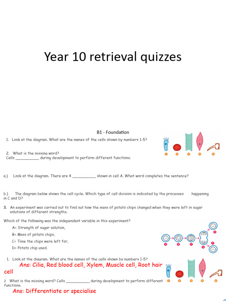 Year 10 11 Biology Retrieval Quizzes | PDF | Glycogen | Digestion