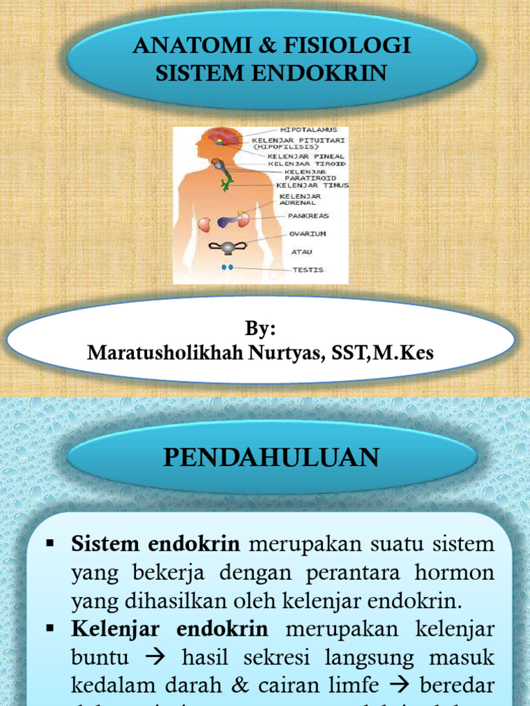 Anatomi Fisiologi Sistem Endokrin | PDF