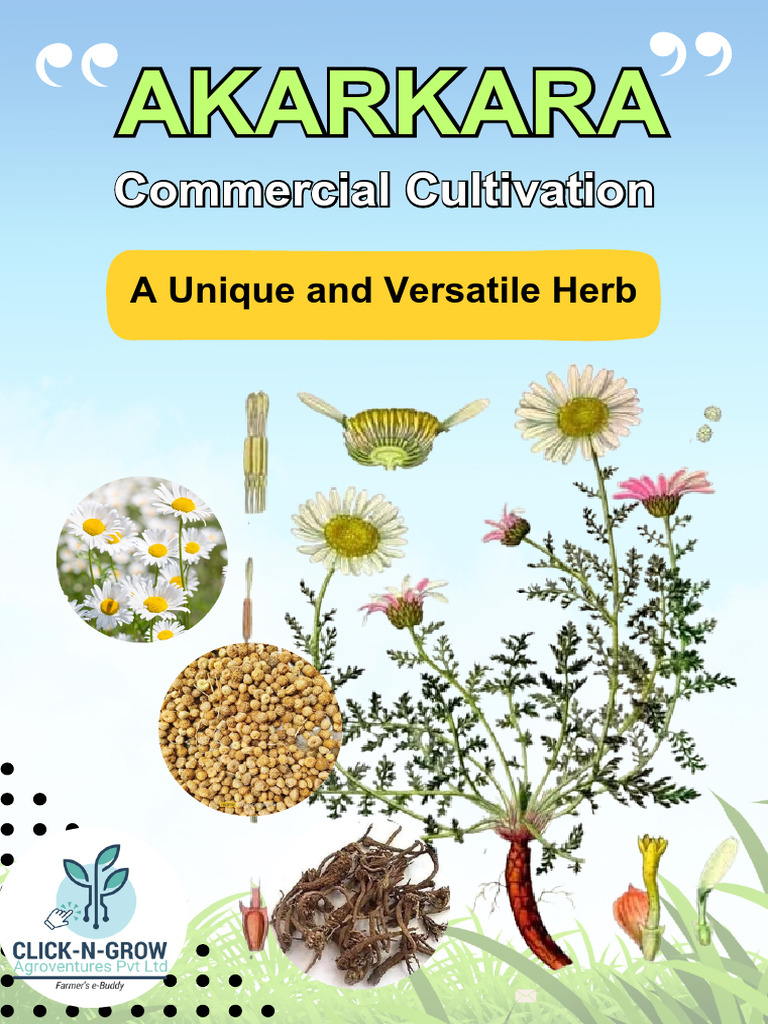Akarkara English | PDF | Mulch | Fertilizer