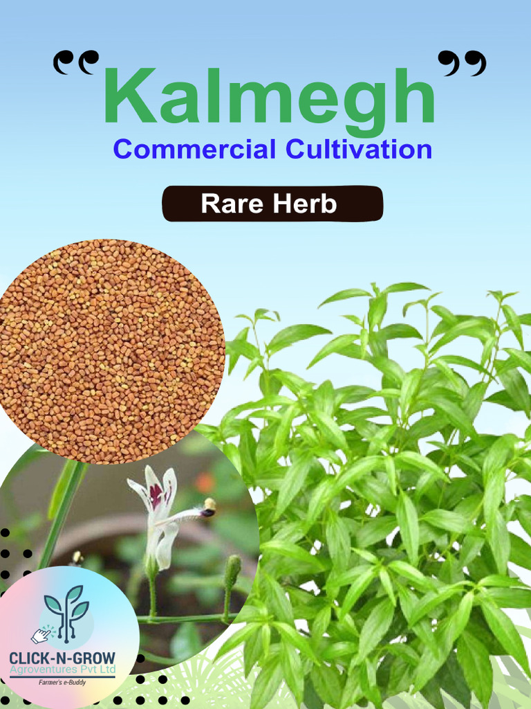 Kalmegh- English | PDF