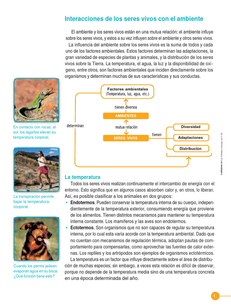 El Ambiente y Los Seres Vivos a Trabajar | PDF | Agua | Entorno natural