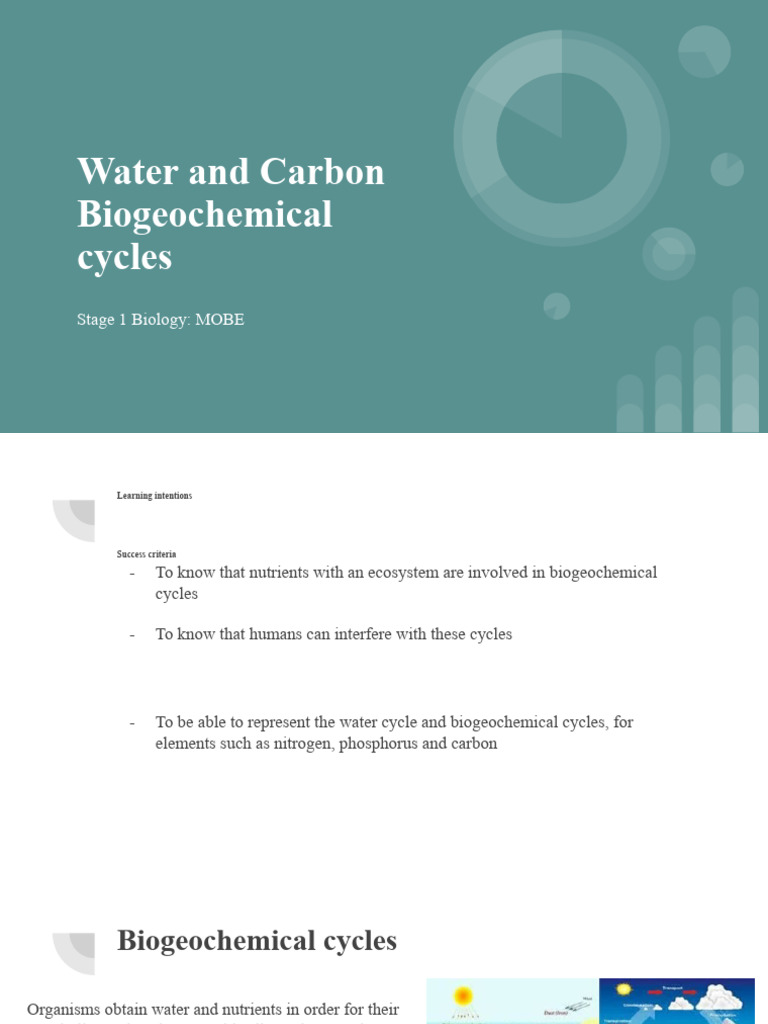 Water and Carbon Biogeochemical Cycles | PDF | Water Cycle | Water