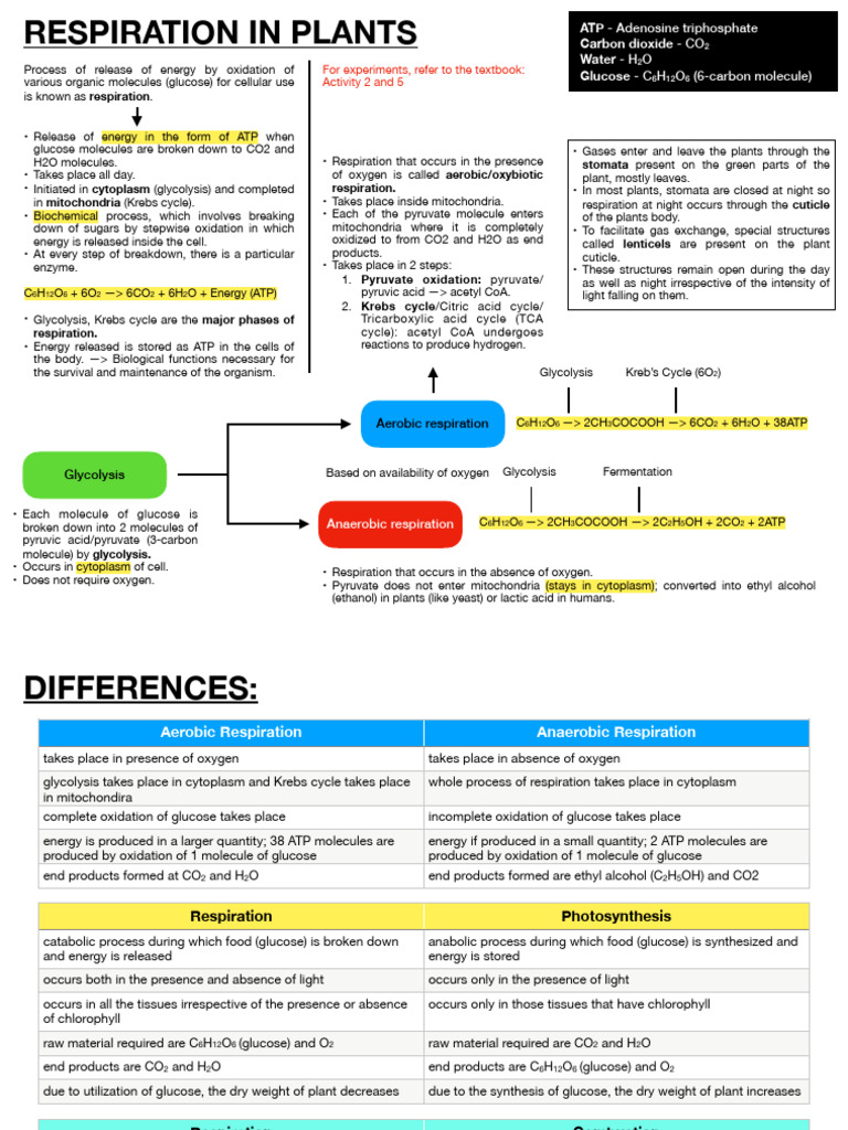 Respiration in Plants | PDF | Cellular Respiration | Glycolysis