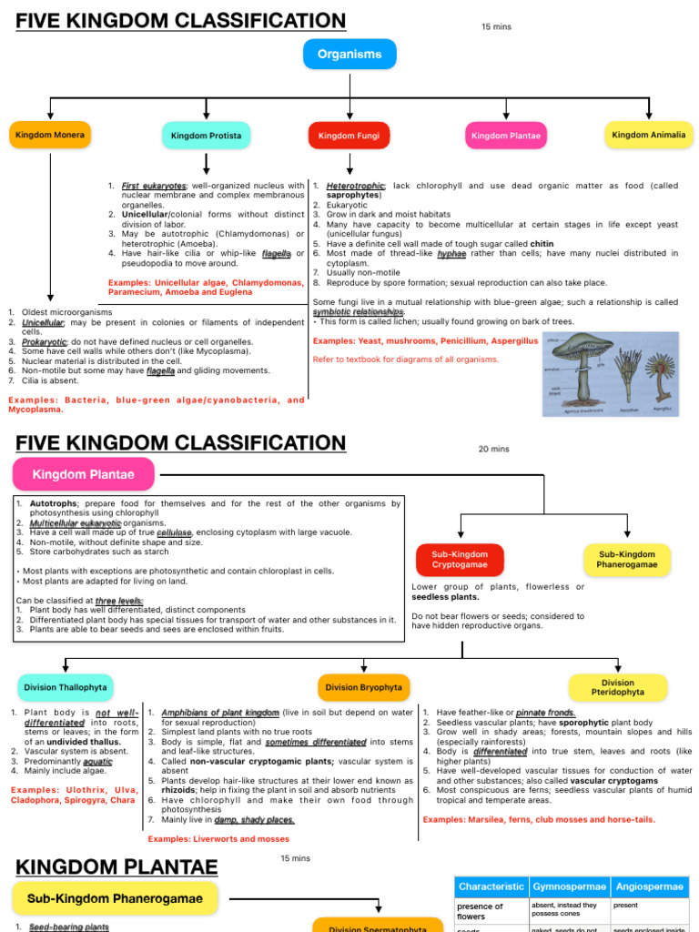 Five Kingdom Classification | PDF | Plants | Fish