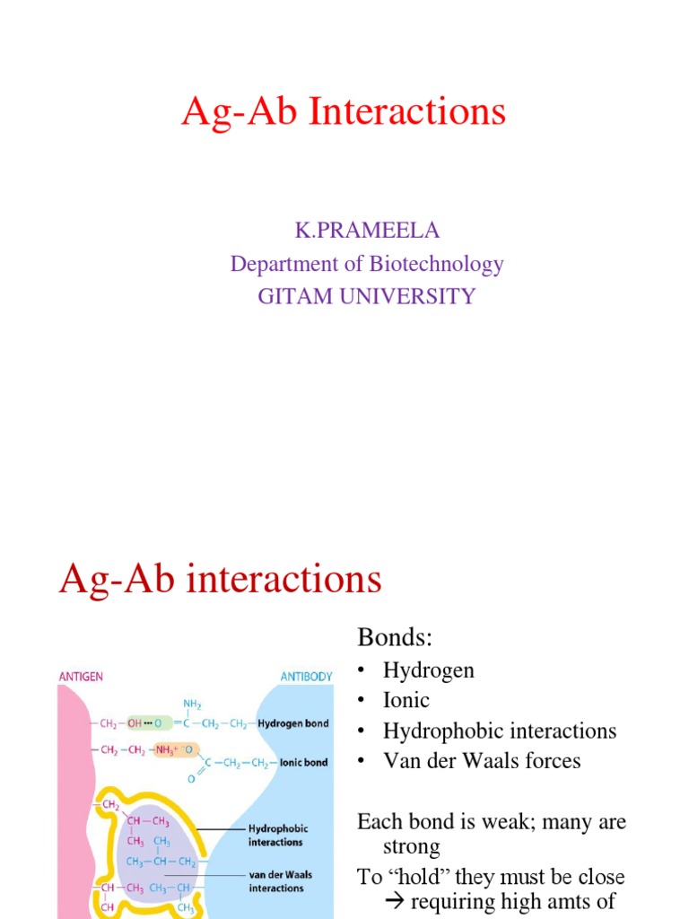 Ag Ab Reactions | Elisa | Biochemistry