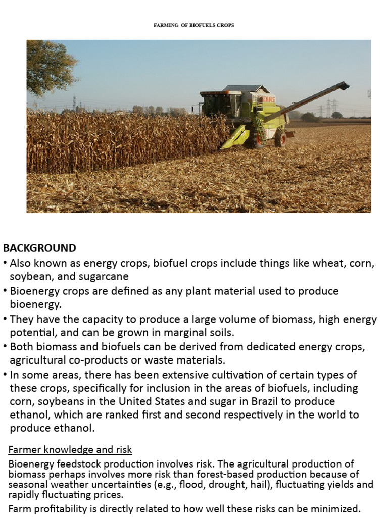 Farming of Biofuels Crops | PDF | Bioenergy | Power Resources