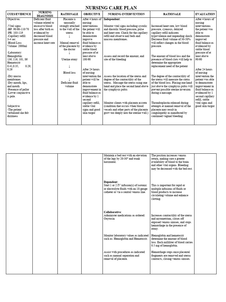 NCP Deficient Fluid Volume | PDF | Blood Pressure | Blood