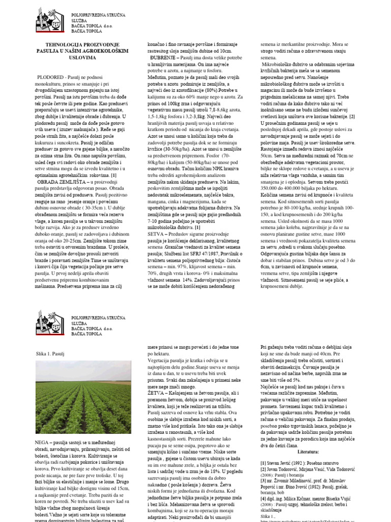 Flajer 3 2021 PASULJ | PDF