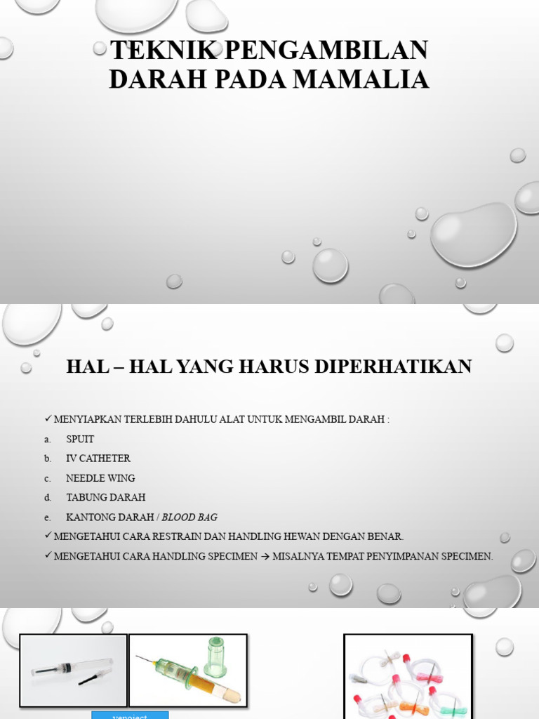 Teknik Pengambilan Darah Pada Mamalia | PDF | Kesehatan Holistik | Sains & Matematika