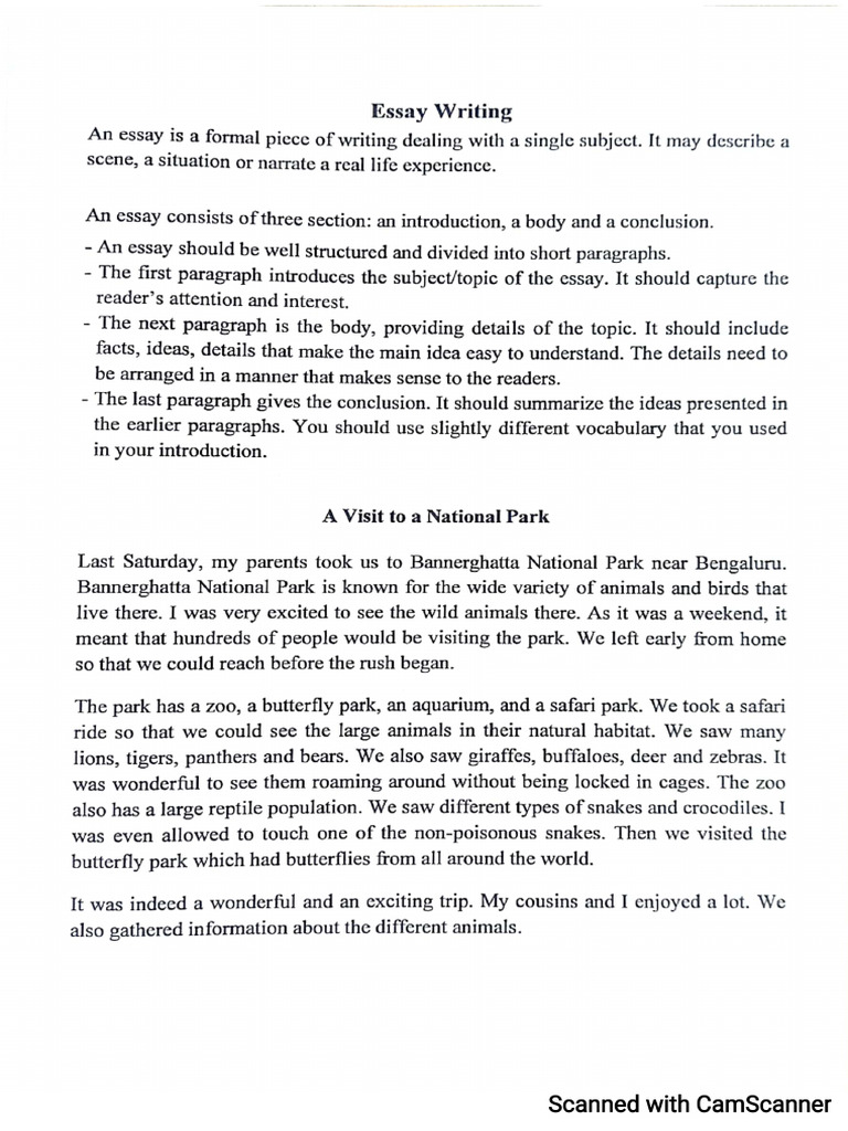 Comprehension-3 Grade 5 | PDF