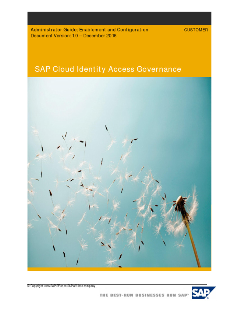 SAP Cloud IAG AdminGuide | PDF | Cloud Computing | Proxy Server