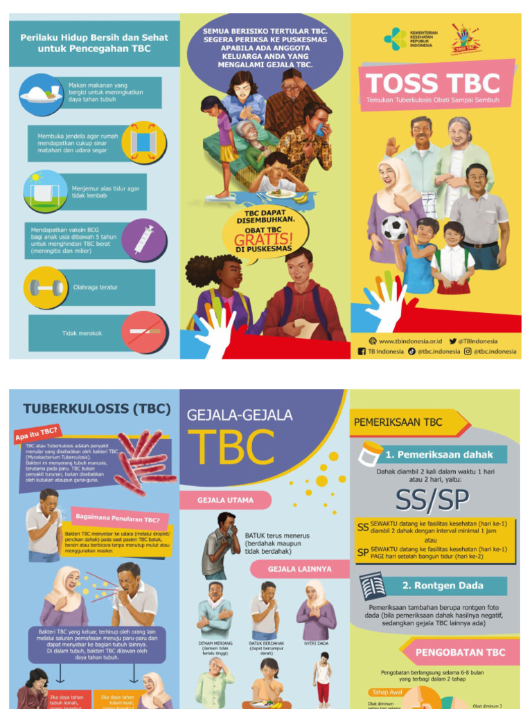 3.6.1 Leaflet TB | PDF