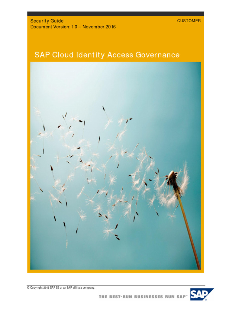 SAP Cloud IAG - Security Guide | PDF | Cloud Computing | Software ...