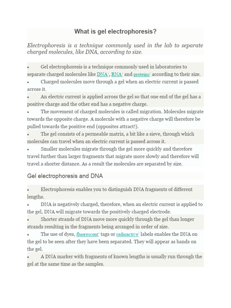 What Is Gel Electrophoresis? | PDF | Gel Electrophoresis | Agarose Gel ...