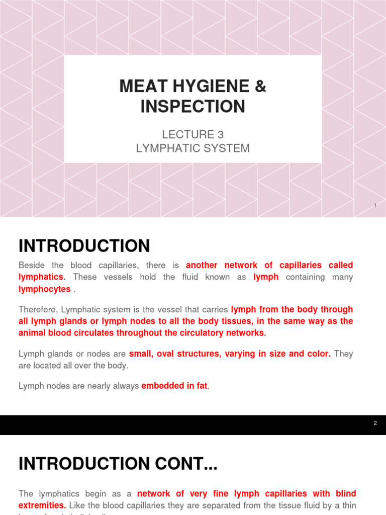 Meat Hygiene | PDF | Pelvis | Lymph