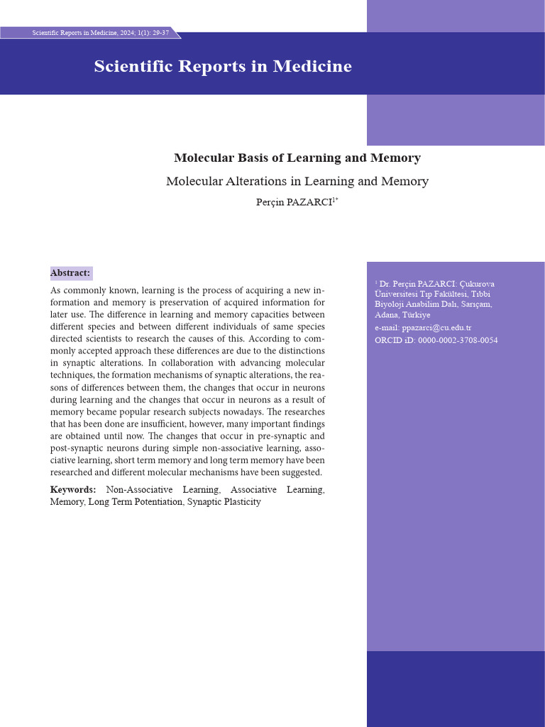 Molecular Basis of Learning and Memory | PDF | Long Term Potentiation | Synaptic Plasticity