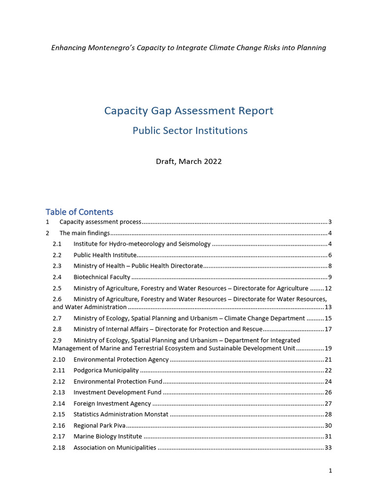 First Draft - Capacity Assessment Report MNE Institut - M.Marković | PDF | Capacity Building ...